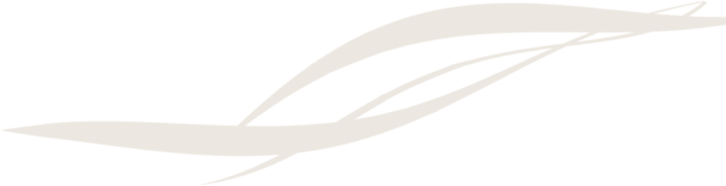 Download White Swoosh PNG Image with No Background - PNGkey.com