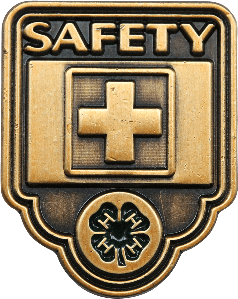 Download Safety Pin - Cross PNG Image with No Background - PNGkey.com