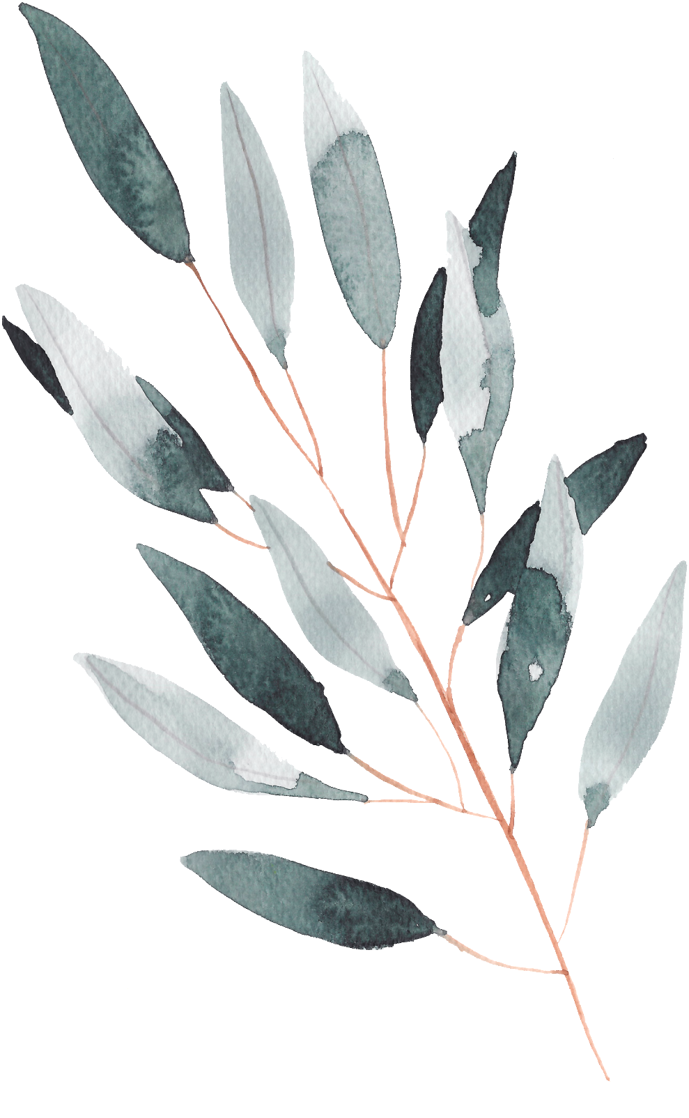 Hand Painted A Leaf Watercolor Transparent - Watercolor Painting - Free ...