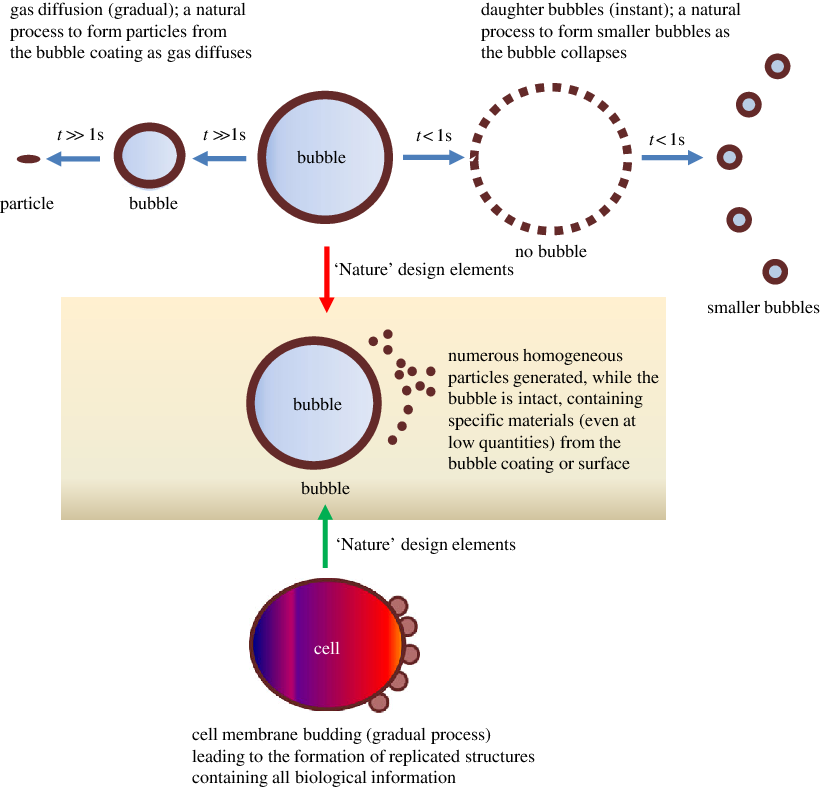 Download Nature And Bioinspired Bubble Design Elements - Design Process ...