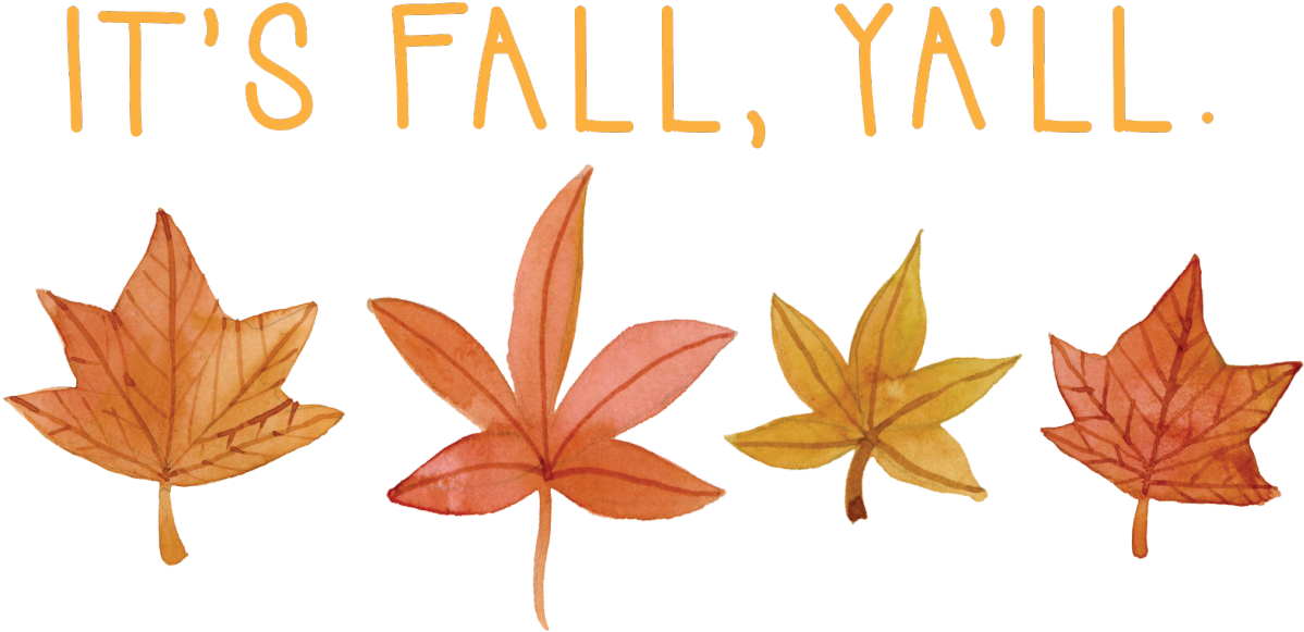 Download Related Wallpapers - Line Of Fall Leaves PNG Image with No ...