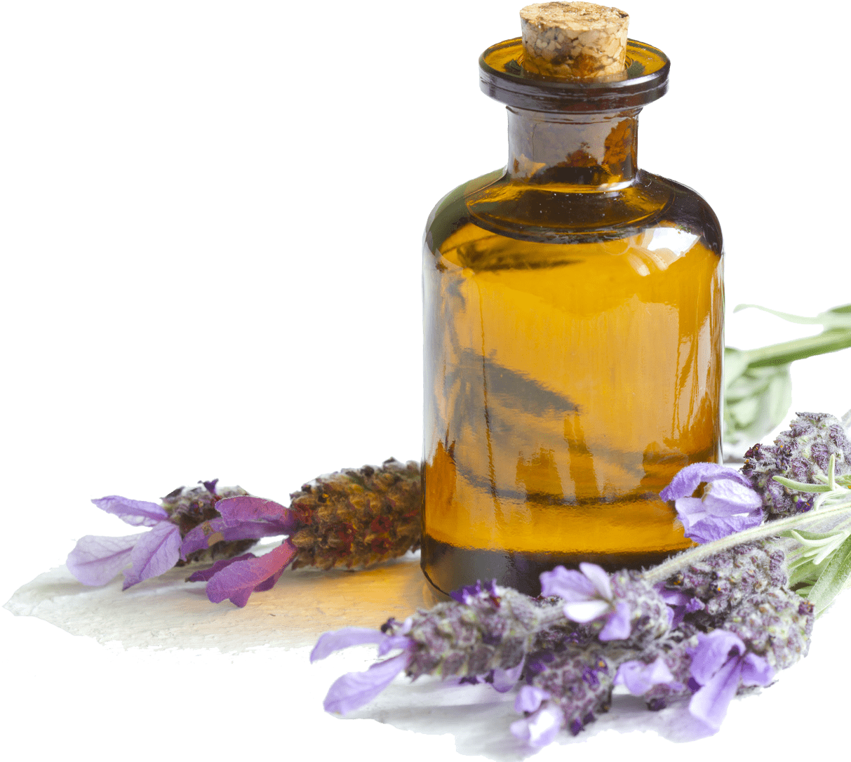 Download Lavender Oil - Essential Oils Private Packaging PNG Image with ...