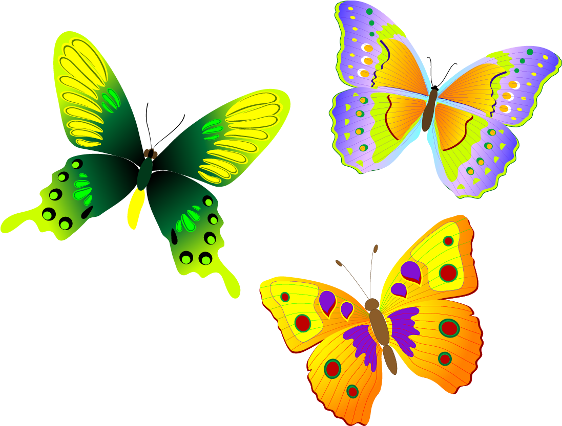 Monarch Butterfly Euclidean Vector - Png Butterfly Vector - Free ...