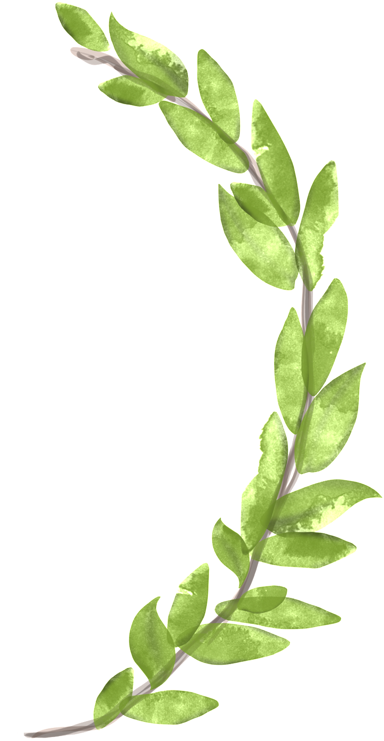 Download This Graphics Is Victory Branch Cartoon Transparent - Cartoon ...
