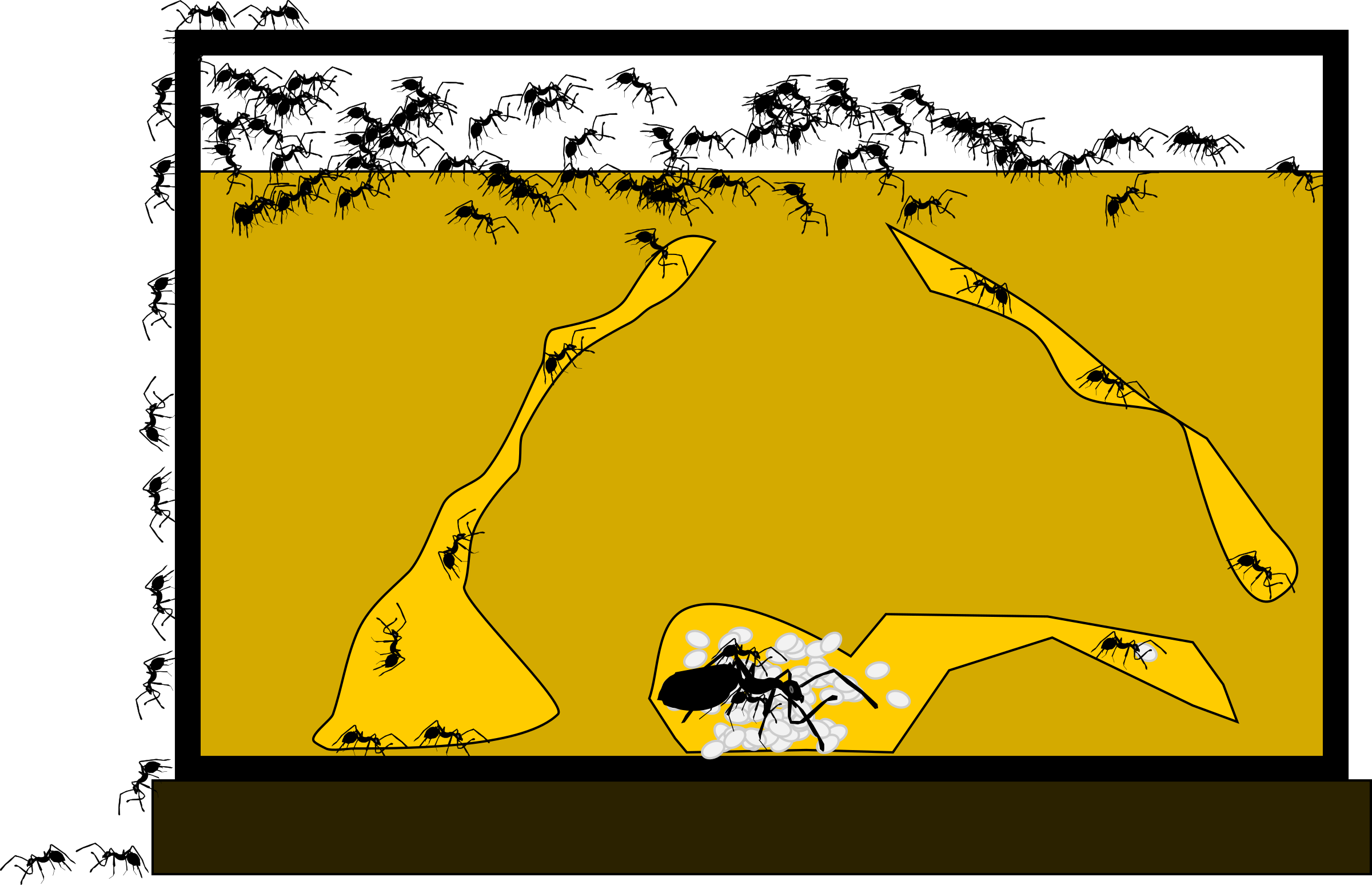 Download This Free Icons Png Design Of Ant Farm PNG Image with No ...