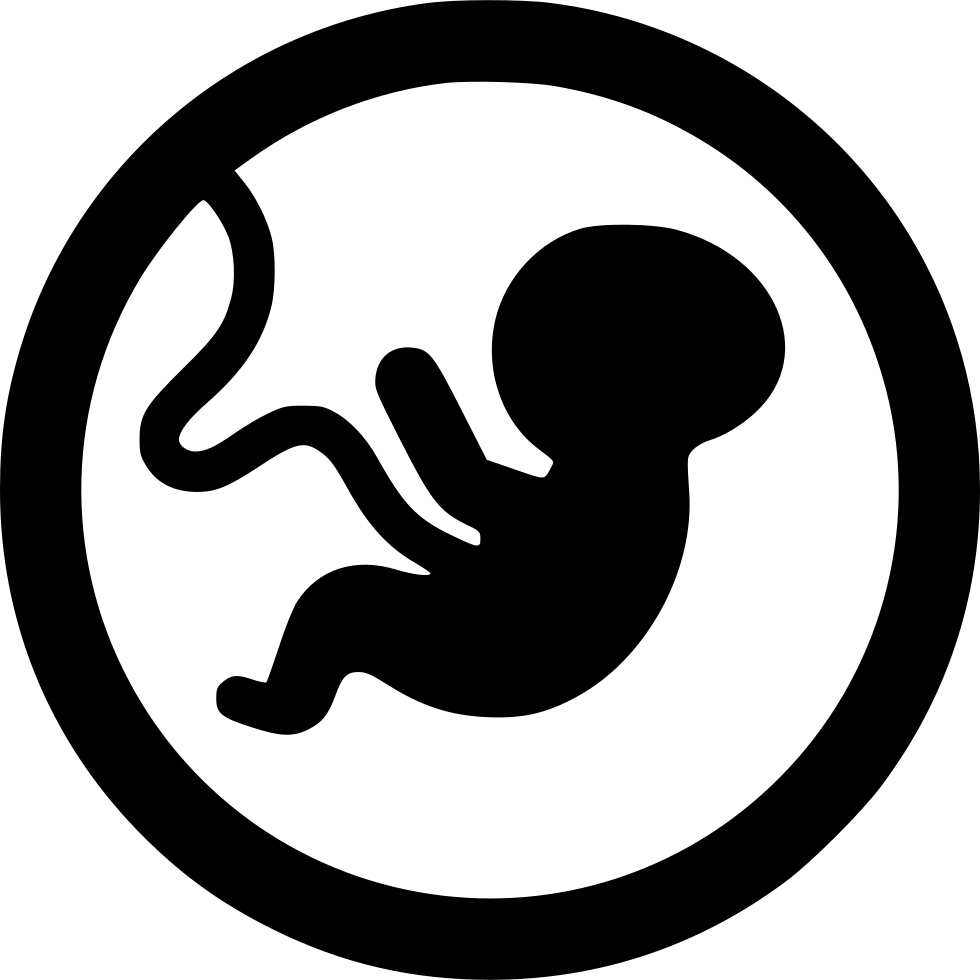 Free Download Embryo Transparent Clipart Embryo Fetus - Fetus - Free ...