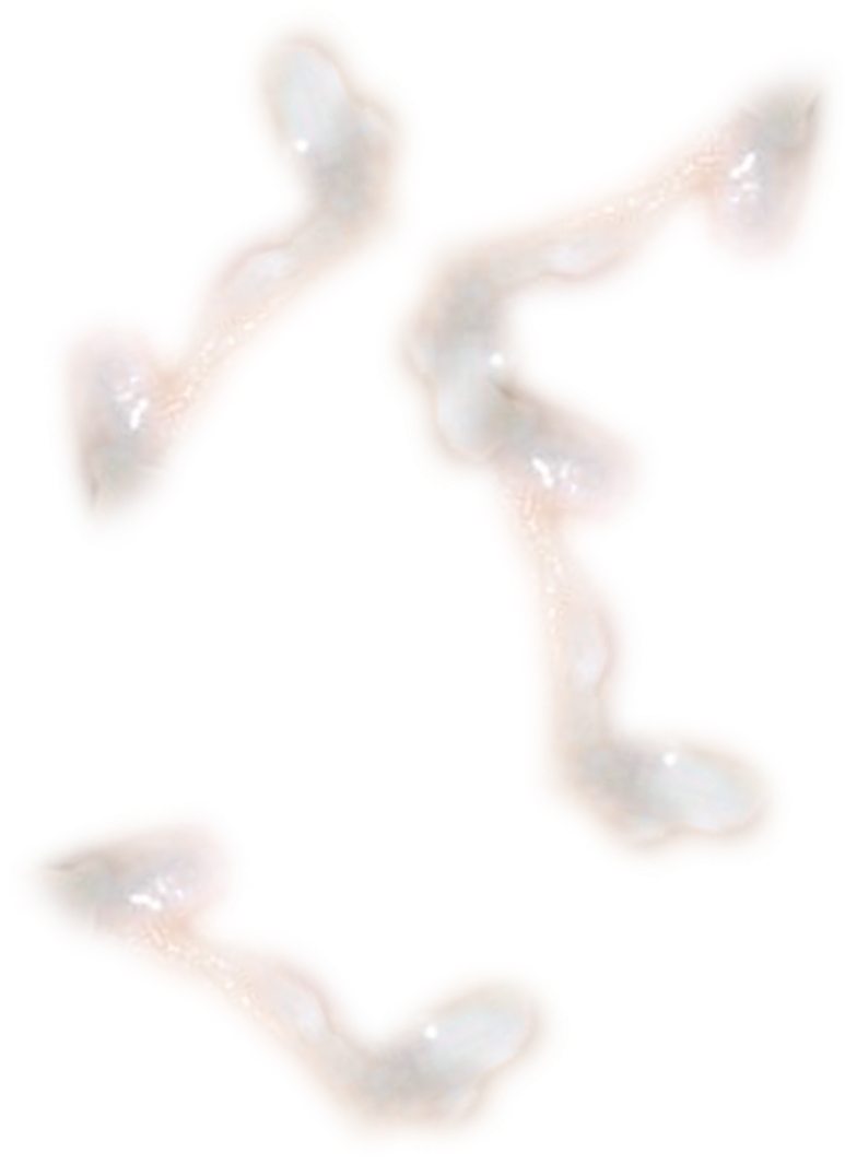 Download 561 Kb Png - Tan PNG Image with No Background - PNGkey.com