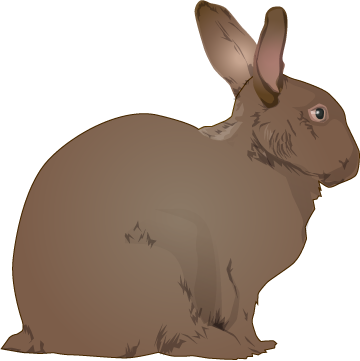 Download Rabbit Clipart Realistic - Rabbit Clip Art PNG Image with No ...