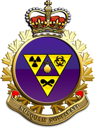 Download Cf %5bjnbcd Coy%5d Cjiru Badge %5b1 - Canadian Forces Military ...
