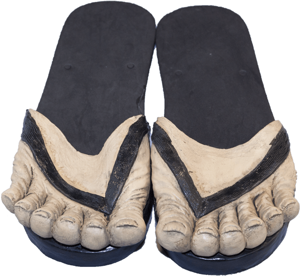 Download Sandals With Fake Toes - Flip Flops With Fake Toes PNG Image ...