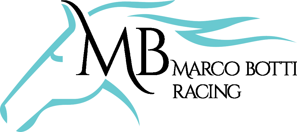 Download Marco Botti PNG Image with No Background - PNGkey.com