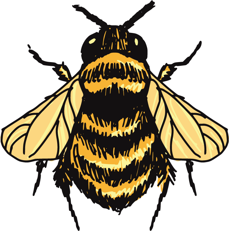 Bumblebee Drawing Sketch - Bumble Bee Drawing - Free Transparent PNG ...