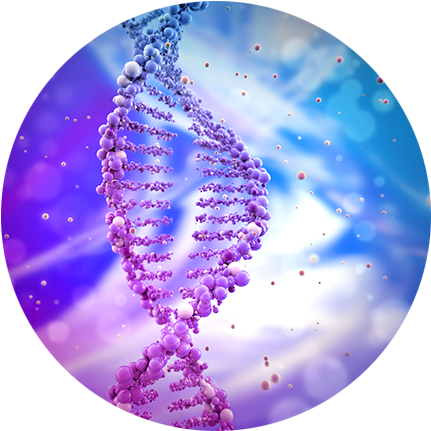 Download Stem Cell - Regenerative Medicine: Stem Cell Therapy, Stem ...