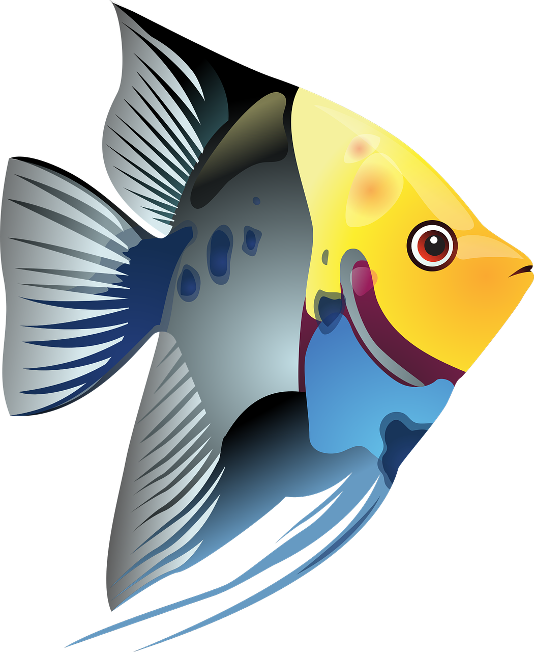 Tropical Fish Clip Art