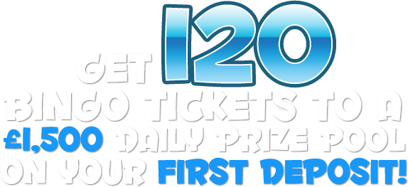 Bingo - Free Transparent PNG Download - PNGkey