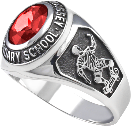 Download Ring One Sideb Red Stone - Ring Stone Png PNG Image with No ...