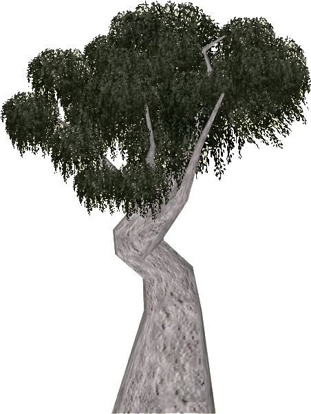 Gum Tree Png - Snow Gum Tree Png - Free Transparent PNG Download - PNGkey