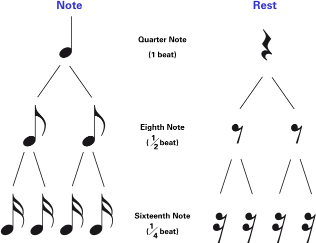 Download Notes Used In Drum Beats - Notes In Drums PNG Image with No ...