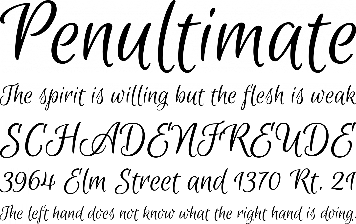 Download Euphoria Script Font Phrases - Euphoria Script Font PNG Image ...