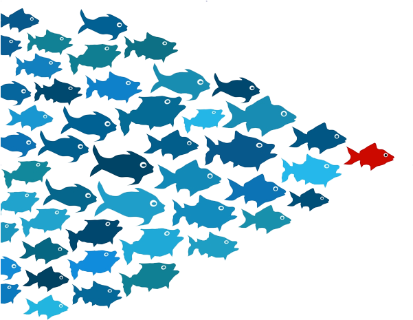 Download School Of Fish Png - School Of Fish Leader PNG Image with No ...