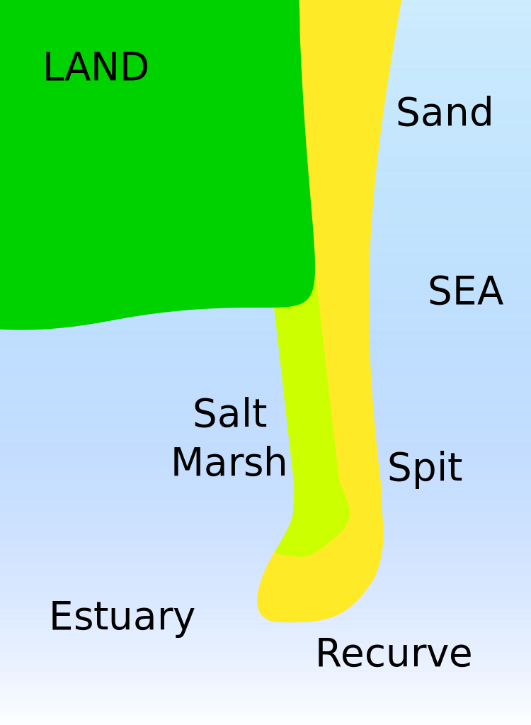 Download File - Spit Diagram - Svg - Diagram Of A Spit PNG Image with ...