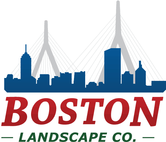 Download Boston Drawing Landscape Clipart Library Stock - Boston PNG ...