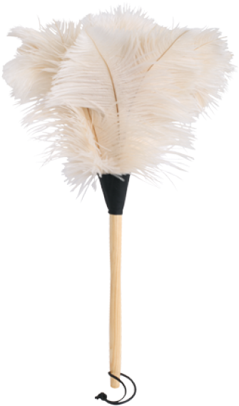 Download Ostrich Feather Duster - Feather Duster PNG Image with No ...