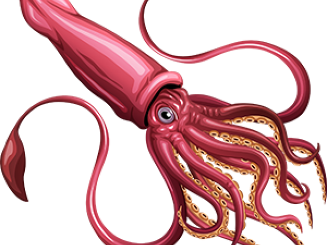 Download Squid Reference PNG Image with No Background - PNGkey.com