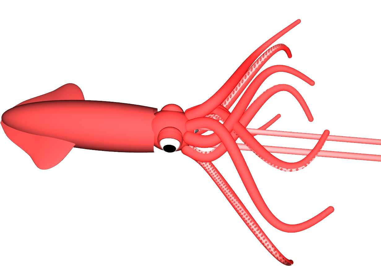 Download Colossal Squid PNG Image with No Background - PNGkey.com