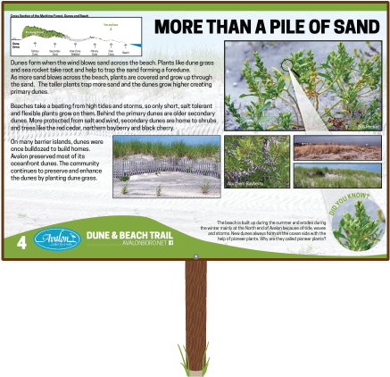 Download More Than A Pile Of Sand Sign - Big Money Rustlas (2010) PNG ...