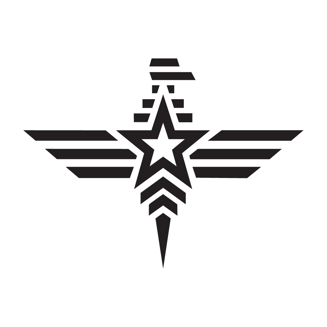 Us Army Star Eagle Decal - Military Star With Wings - Free Transparent ...