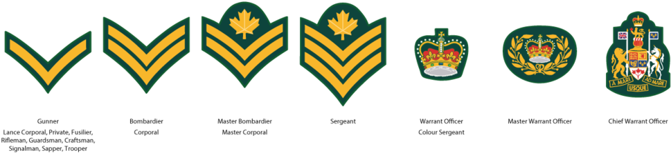 Download Cadet Ncm Ranks PNG Image with No Background - PNGkey.com