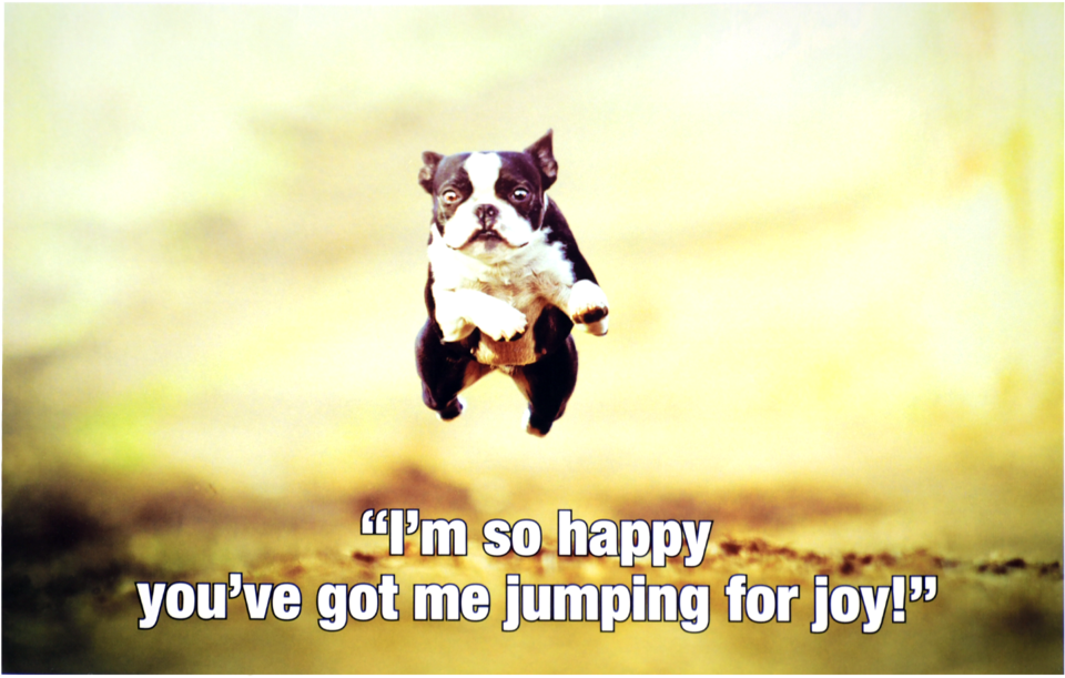 Download Jumping For Joy PNG Image with No Background - PNGkey.com