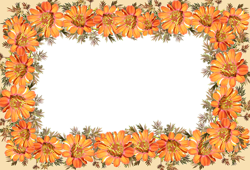 Download Border Orange Flower PNG Image with No Background - PNGkey.com