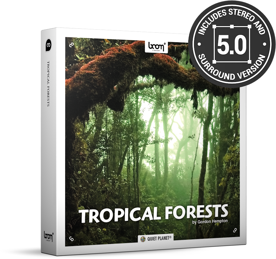 Download Tropical Forests Nature Ambience Sound Effects Library - Sound ...
