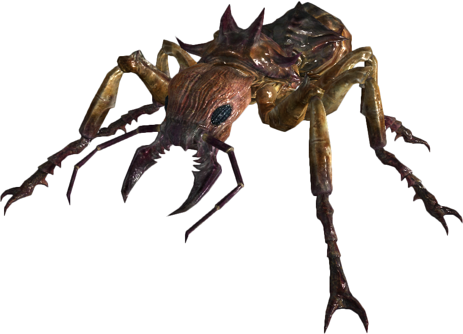 Download Giant Soldier Ant - Fallout Ant PNG Image with No Background ...