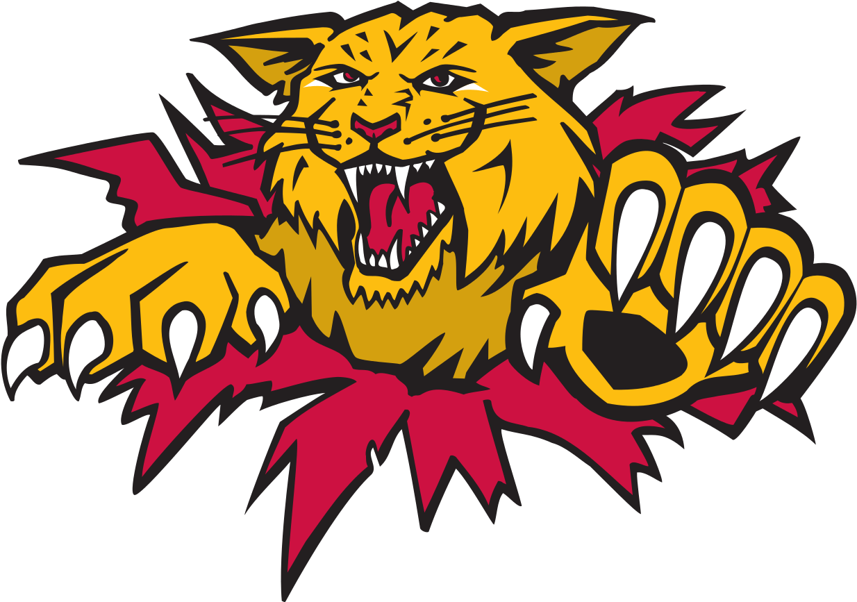 Download Wild Cats Png - Slater Wildcats PNG Image with No Background ...