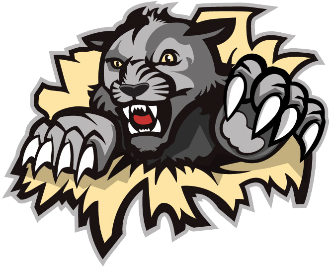 Download Wildcat Clipart West Shore - West Shore Wildcats Logo PNG ...