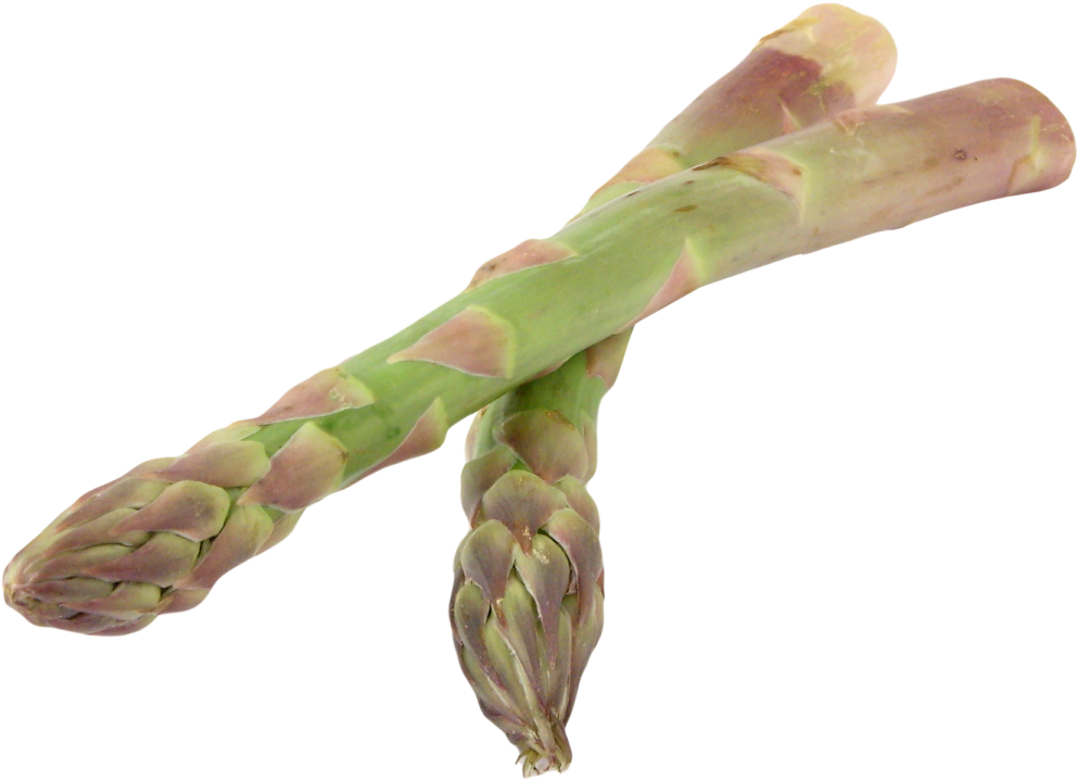 Asparagus Png Image1 - Garden Asparagus - Free Transparent PNG Download ...