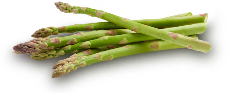 Asparagus Transparent - Free Transparent PNG Download - PNGkey