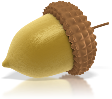 Download Acorn Png Image, Free, Acorns - Nut Png No Background PNG ...