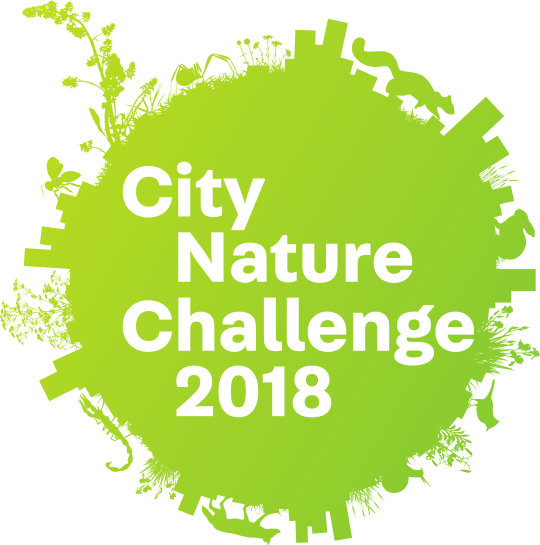 City Nature Challenge Logo - Free Transparent PNG Download - PNGkey