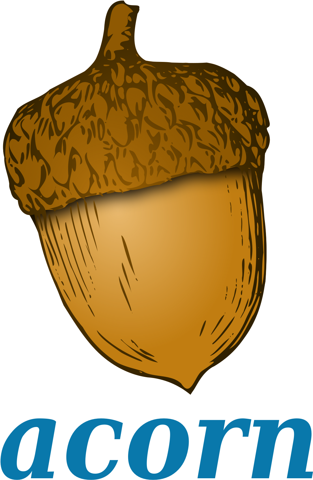 Download Open - Acorn Clipart Transparent PNG Image with No Background ...