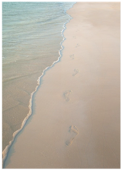 Download Singing Sand PNG Image with No Background - PNGkey.com