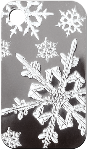 Download Silver Snow Flakes - Snow PNG Image with No Background ...