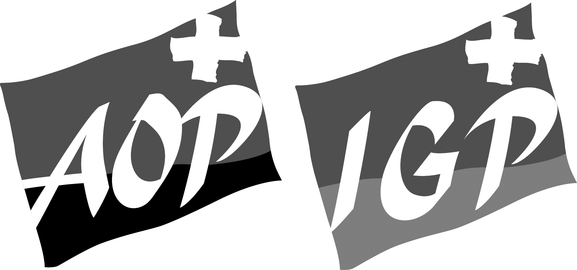 Download Aop-apg - Aop Igp PNG Image with No Background - PNGkey.com