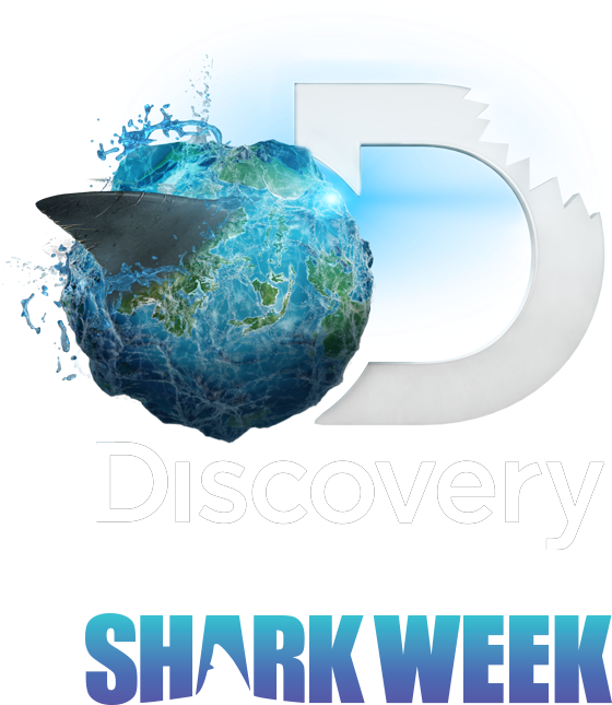 Discovery Channel Logo Png - Discovery Shark Week Logo - Free ...
