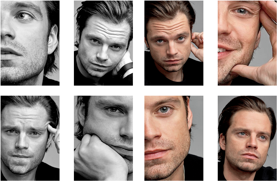 Sebastian Stan - Collage - Free Transparent PNG Download - PNGkey
