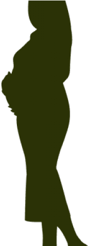 Download Silhouette PNG Image with No Background - PNGkey.com