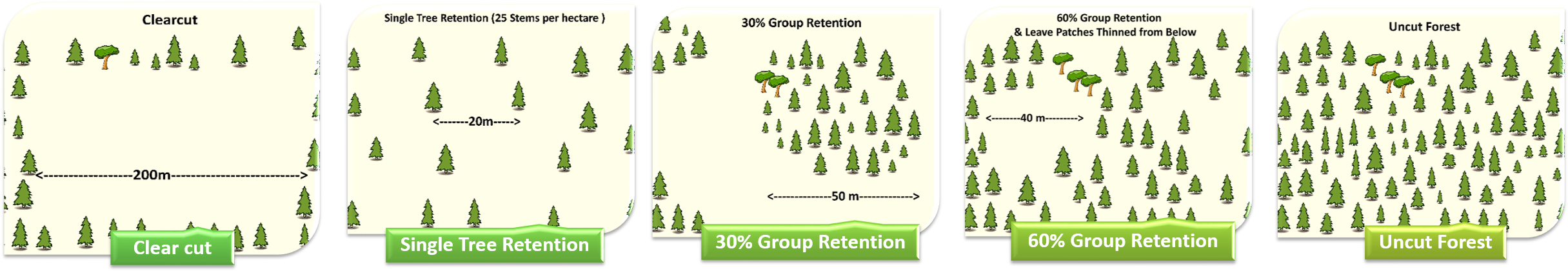 Download Objective 2 Legacy Trees